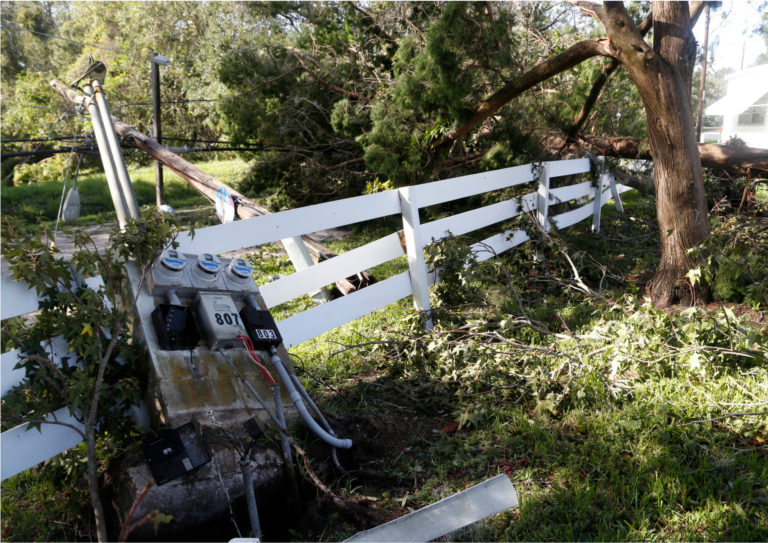 Power Down: Stay Safe When Power Lines Fall - Flagger Force